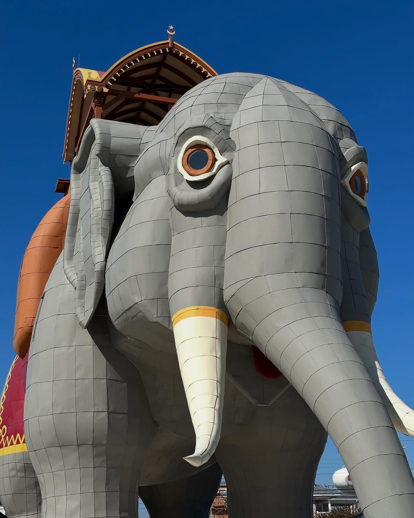 About Lucy - Lucy The Elephant