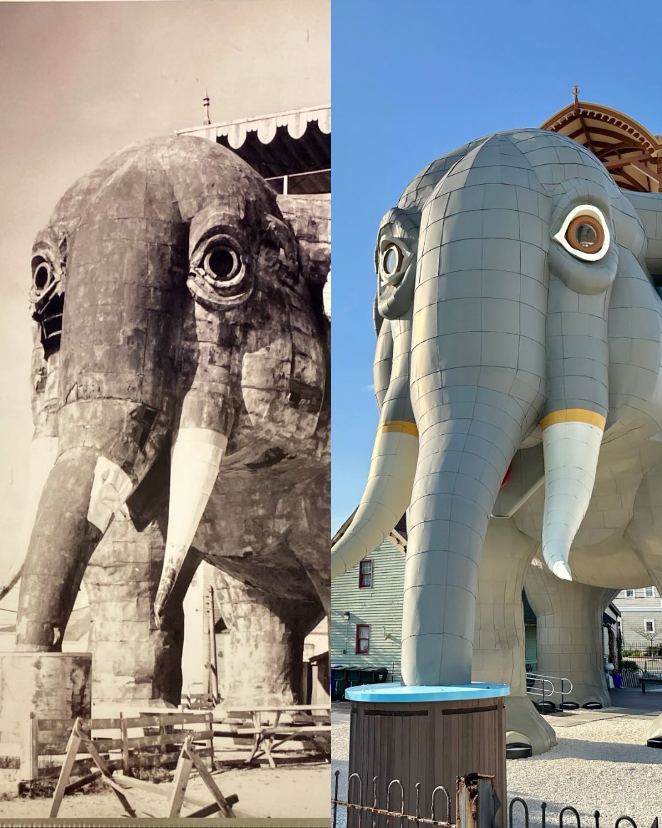 About Lucy - Lucy The Elephant