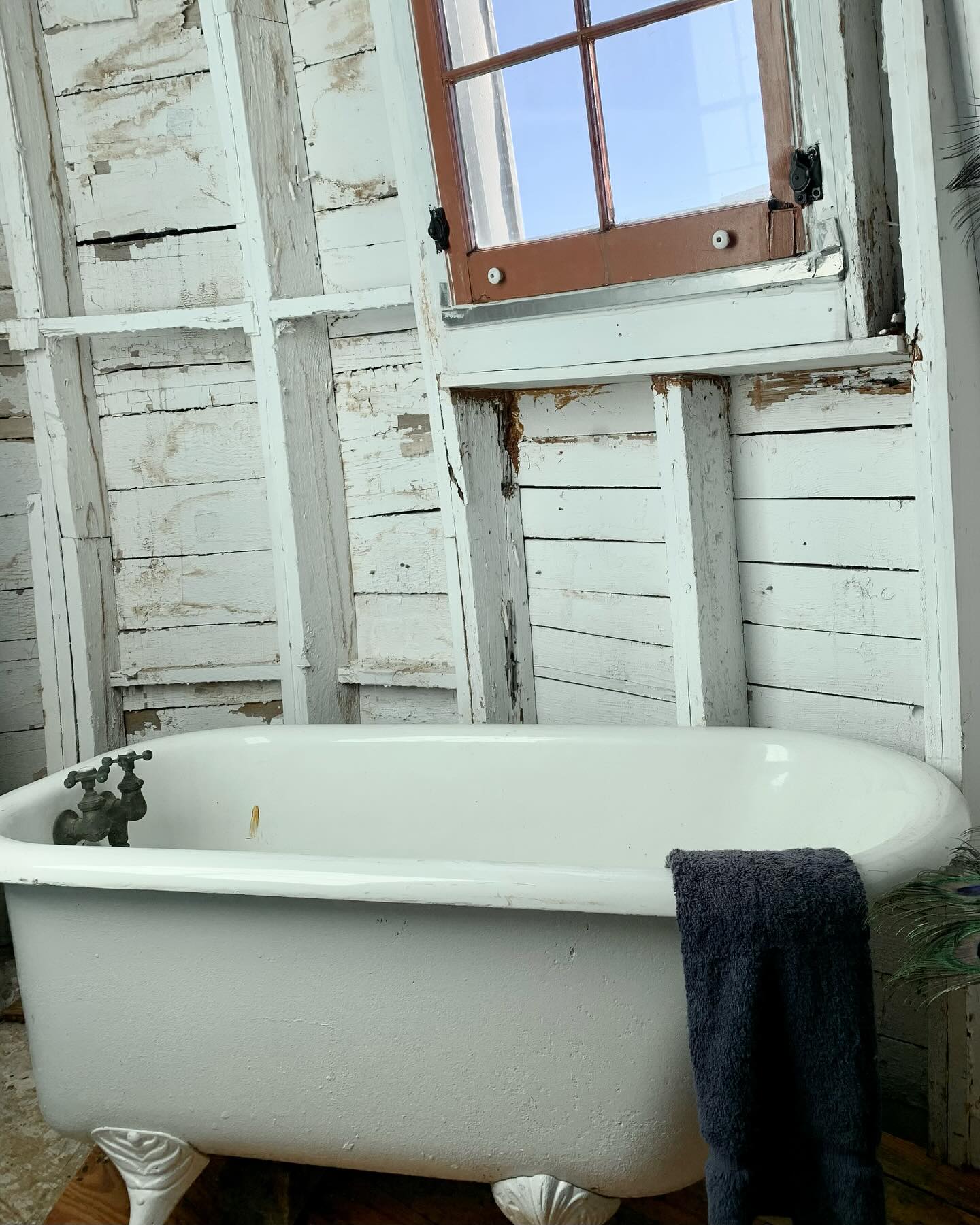 About Lucy - Lucy The Elephant