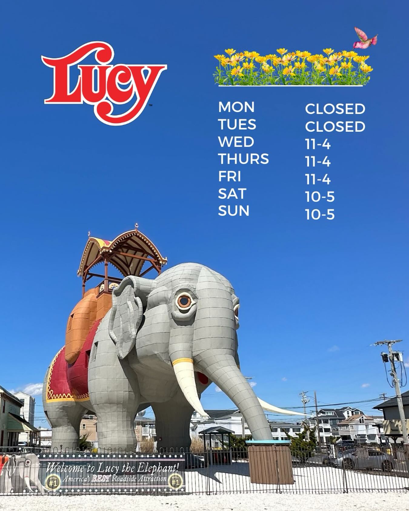 About Lucy - Lucy The Elephant