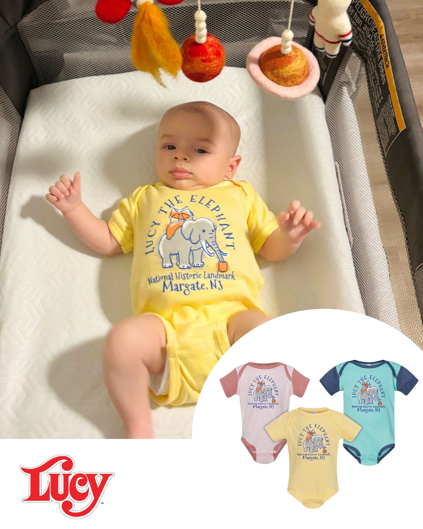 About Lucy - Lucy The Elephant